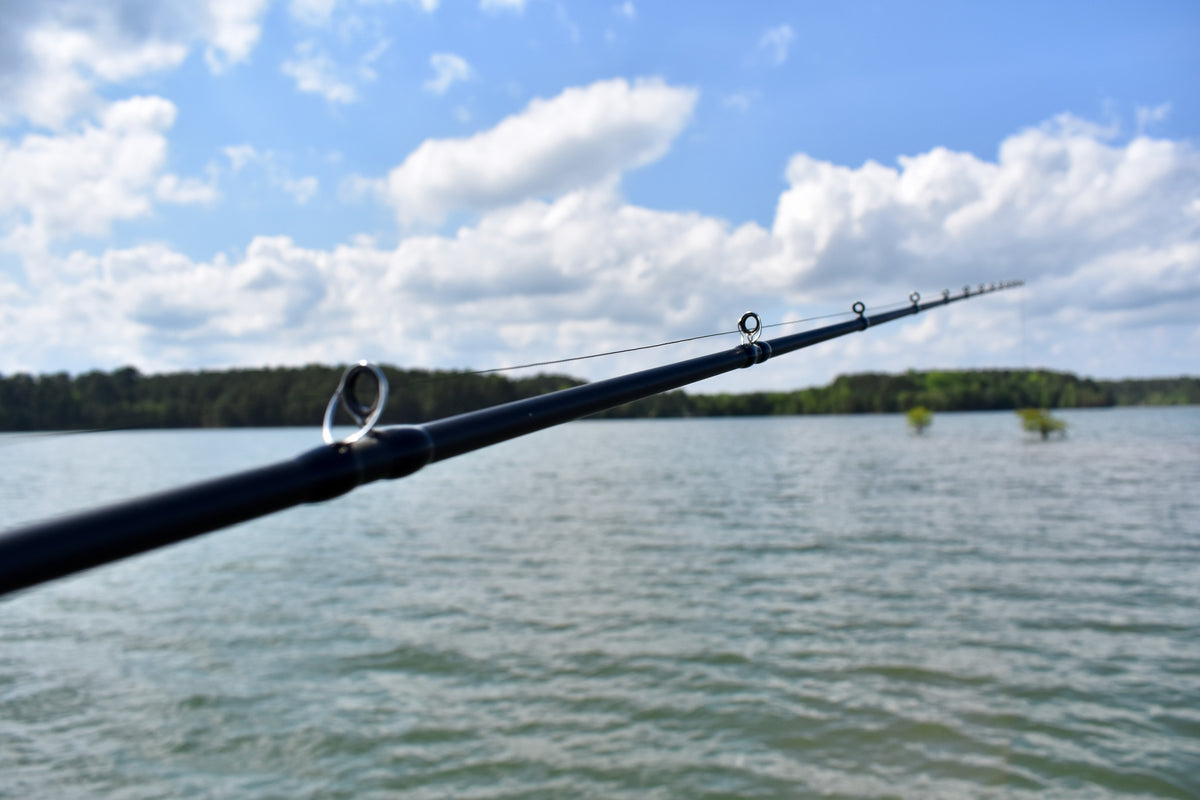 The Power of 20lb Braid: Control, Castability, and Confidence in Every ...