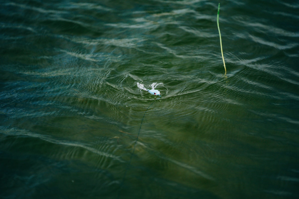 Does Braided Fishing Line Float? What Every Angler Needs to Know ...